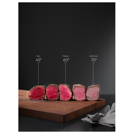 SET Trouba AEG BPE748380B + Indukční deska AEG IAE64431FB | OnlineShop.cz