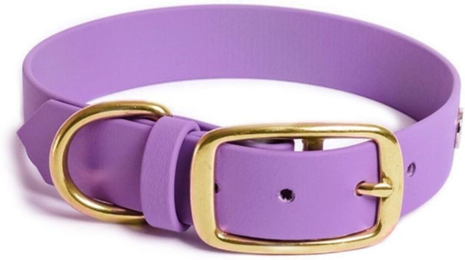 Alternativy k Bura sp. z o.o. - bura Obojek fialový Furry tale - XXXS ...