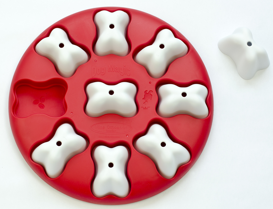 Diskuze The Company of Animals - hračka plast interaktivní Disc The ...