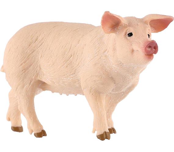 Figurka Zooted Prase domácí, plast, 10 cm | OnlineShop.cz